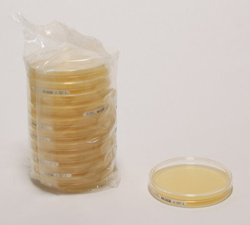 YGC agar – Krypton International Resources Inc